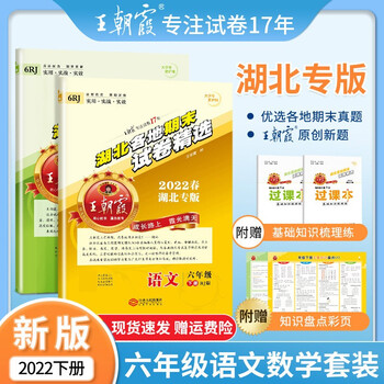 2022下册王朝霞湖北专版各地期末试卷精选小学期末试卷五六年级下册语文数学英语一二三四年级下册人教版冲刺卷 六年级（语文+数学）人教版套装