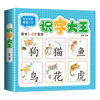 宝宝早教幼儿启蒙 识字大王 儿童看图识字幼儿识字书宝宝学前启蒙早教书籍幼儿园店长推荐幼小衔接常用字
