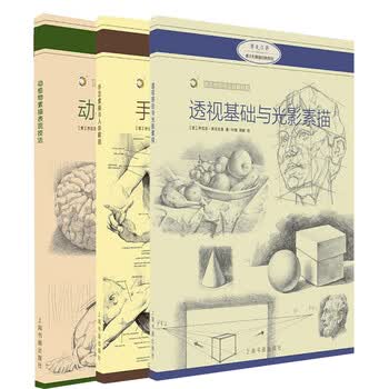 动植物素描表现技法+手足素描与人体解剖+透视基础与光影素描 全3册 素描基础知识艺