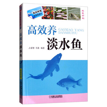 [正版图书]高效养淡水鱼