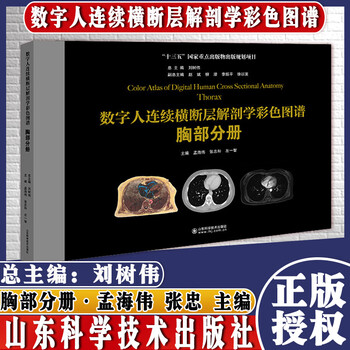数字人连续横断层解剖学彩色图谱胸部分册山东科学技术出版社9787572306761孟海伟张忠和左