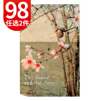 喧哗与骚动 英文原版 The Sound and the Fury 威廉 福克纳获奖 经典小说