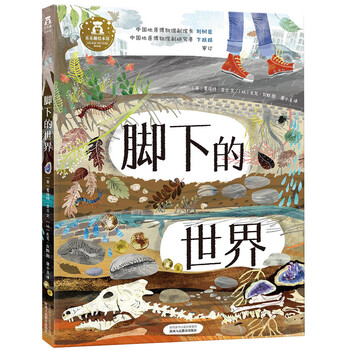 脚下的世界  一本科普绘本带你穿越地心，抵达地球另一端（4-10岁）(中国环境标志产品 绿色印刷)