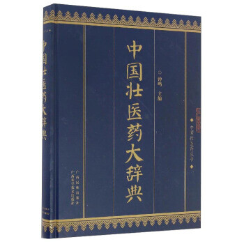 中国壮医药大辞典【正版图书】