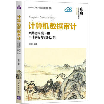 【新华正版】 计算机数据审计会计学系列 张莉 清华大学出版社