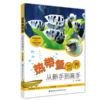 热带鱼饲养-新手到高手