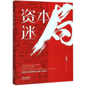 资本迷局 王国进 著 职场小说文学籍