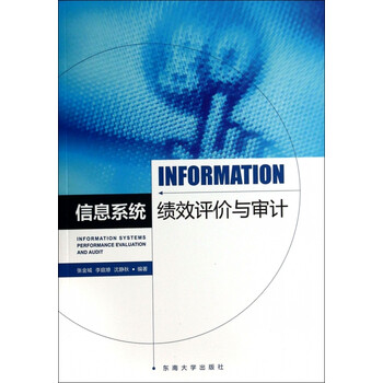 信息系统绩效评价与审计 网