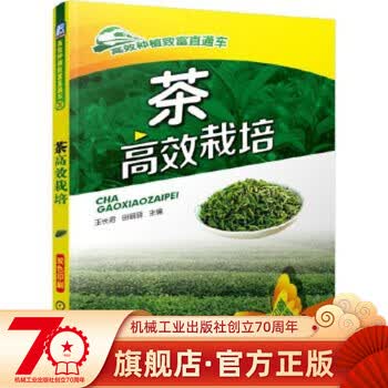 茶高效栽培 田丽丽 高效种植致富直通车