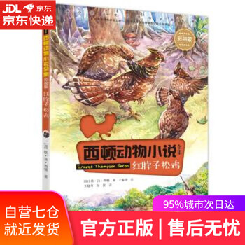 【正版图书】子义手抄报 中小学手抄报黑板报创意版式设计大全 周子义 人民邮电出版社
