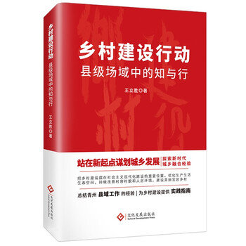 乡村建设行动 : 县级场域中的知与行