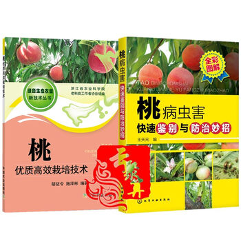 【桃树种植全2本】桃高效栽培技术+桃病虫害快速鉴别防治妙招 桃园生产经营管理 水蜜桃黄桃栽培施肥