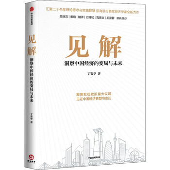 见解 洞察中国经济的变局与未来 图书