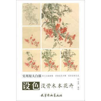 设色没骨木本花卉  绘画 书籍