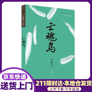 亡魂鸟 王跃文 著 湖南文艺出版社