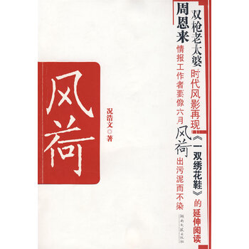 风荷 况浩文 著 湖南文艺出版社