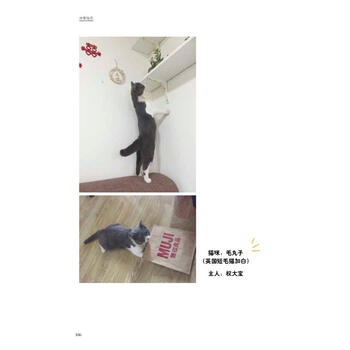 读懂猫语