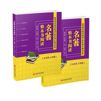 名著整本书阅读 九年级上+九年级下（套装2册）