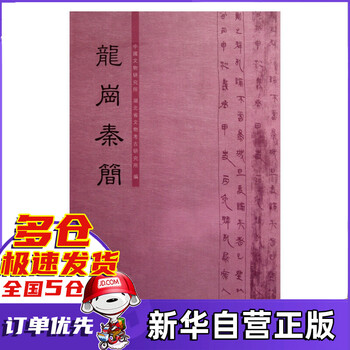龙岗秦简(精)