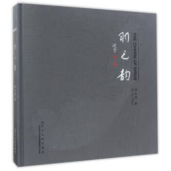 羽之韵