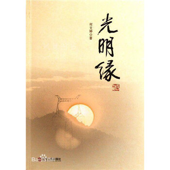 光明缘 何文婷著 浙江人民出版社