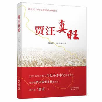 贾汪真旺