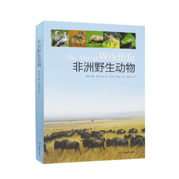非洲野生动物