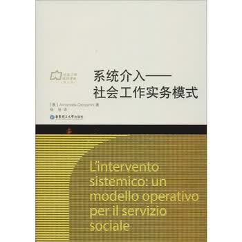 系统介入——社会工作实务模式