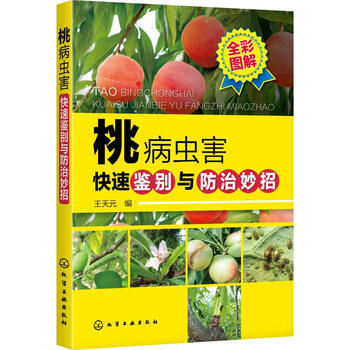 桃病虫害快速鉴别与防治妙招