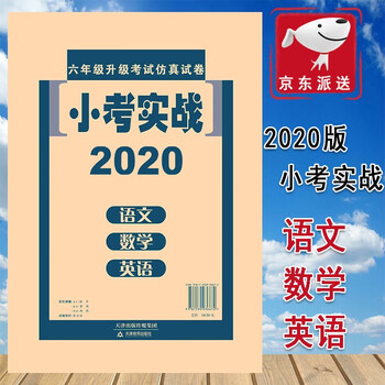 现货2020小考实战2020年小升初语文数学英语天津市区六升七小升初仿真训练试卷小学升初中全套