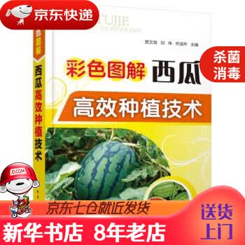 【新华书店 正版书籍】彩色图解西瓜高效种植技术（全彩图解）贾文海,刘伟,乔淑芹化学工业出版社 正版图书绘本