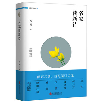 名家读新诗