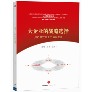 大企业的战略选择 资本魔方与上市顶层设计 沈翎等 中信出版社