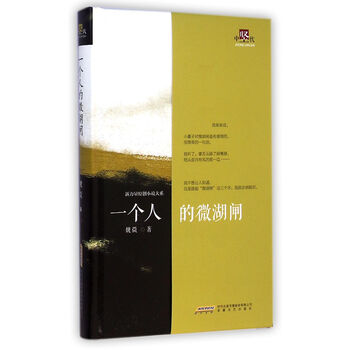 一个人的微湖闸(精)/新力量原创小说大系