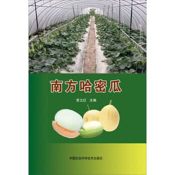 南方哈密瓜