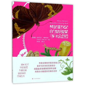 梅里安的蝴蝶手绘图