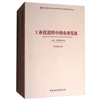 工业化进程中的农业发展（套装上下册）