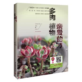亲爱的，多肉植物