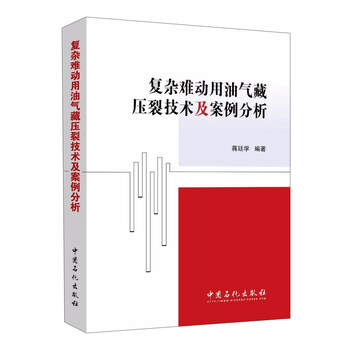 复杂难动用油气藏压裂技术及案例分析