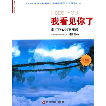 我看见你了：都市心灵觉知课