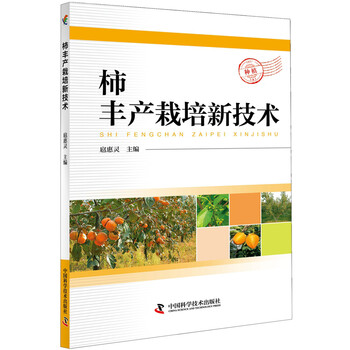 柿丰产栽培新技术