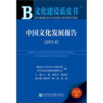 文化建设蓝皮书：中国文化发展报告（2014）
