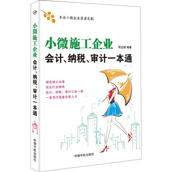 小微施工企业 会计、纳税、审计一本通