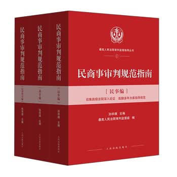 民商事审判规范指南