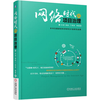 网络时代的项目治理 书籍 管理 项目管理