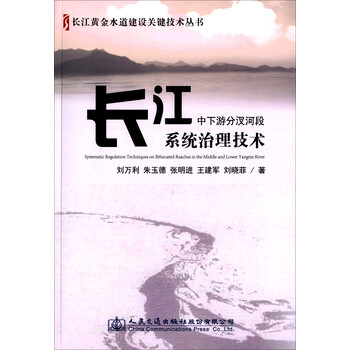 长江中下游分汊河段系统治理技术
