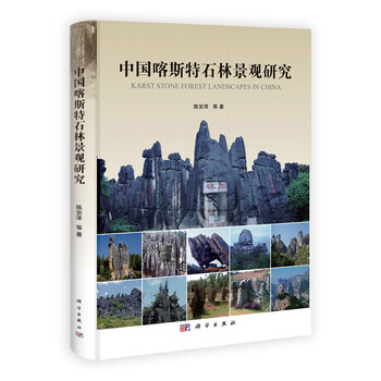 中国喀斯特石林景观研究