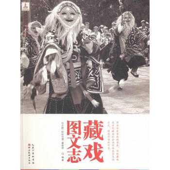 藏戏图文志 艺术 书籍