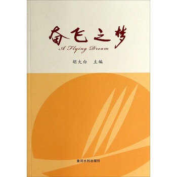 奋飞之梦