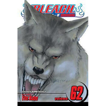 Bleach, Vol. 62, 62